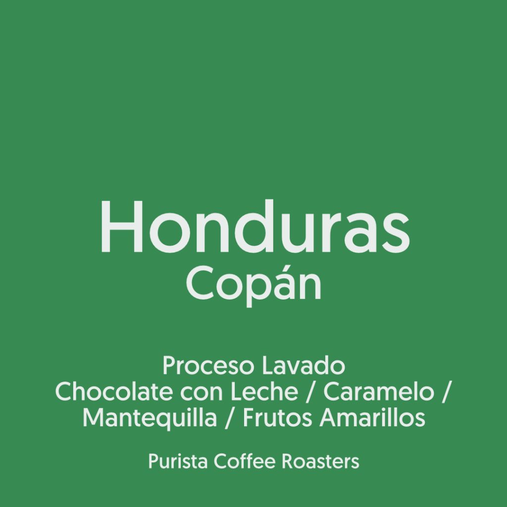 Café Honduras Copán – Purista Coffee Roasters